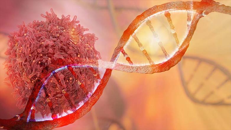 Advances in Genetic Profiling of Tumors Better Personalizes Cancer Care