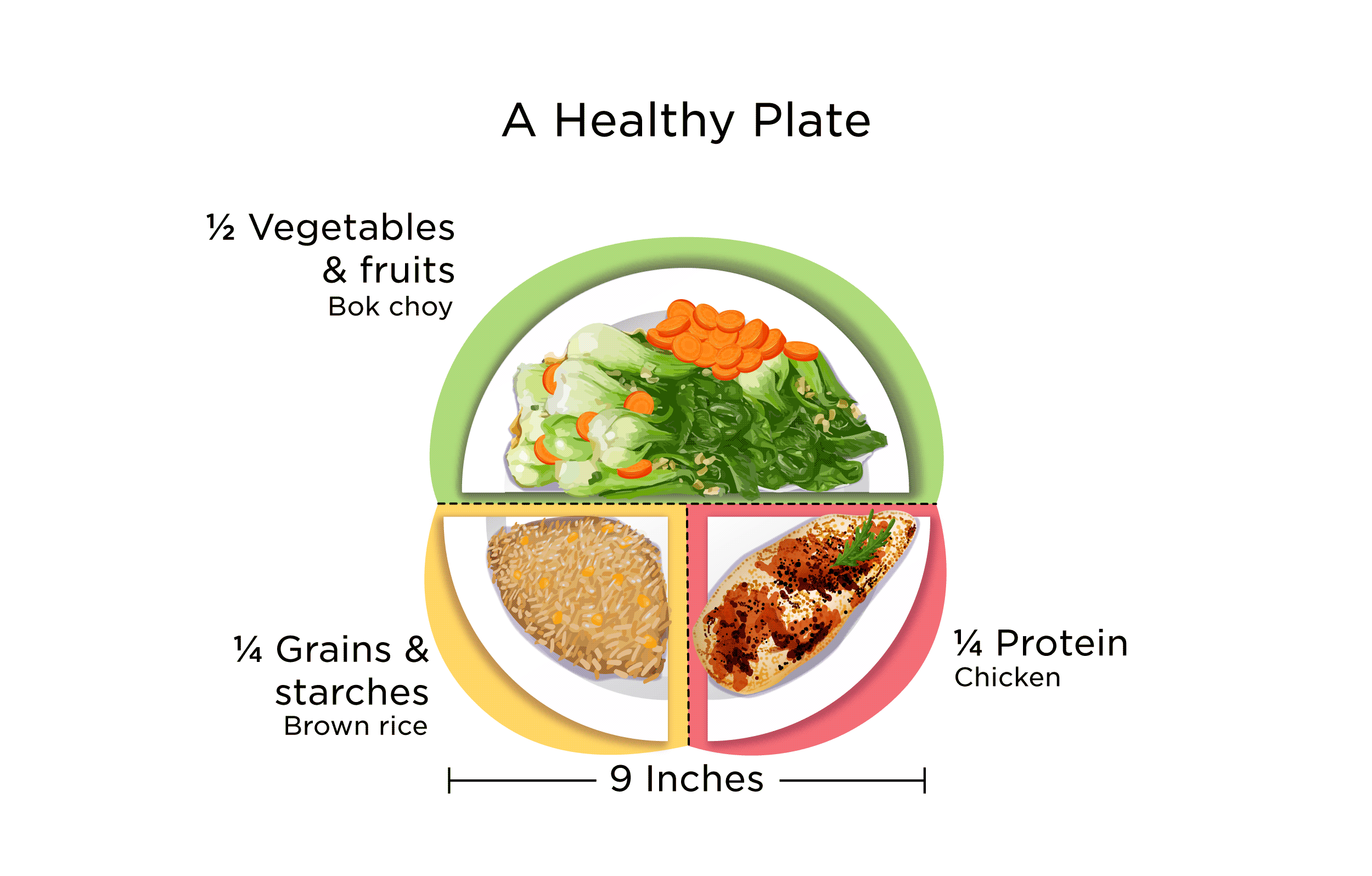 The Healthy Plate | My Doctor Online