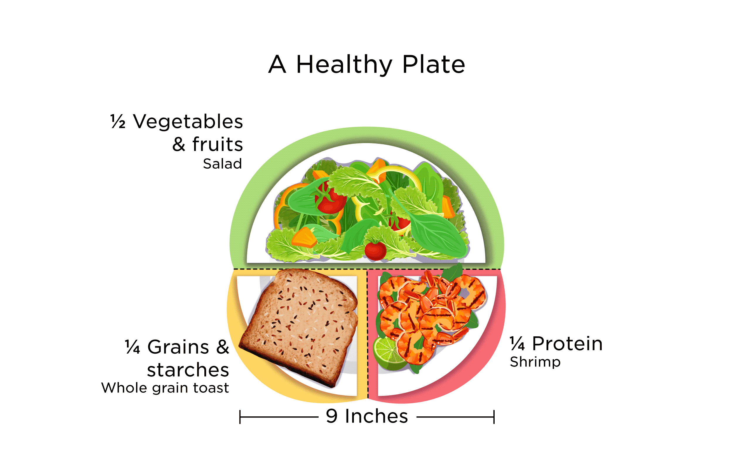 The Healthy Plate | My Doctor Online