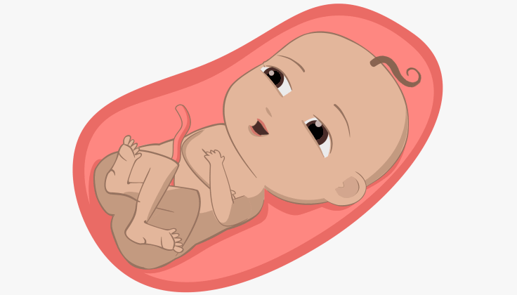 Pregnancy | My Doctor Online