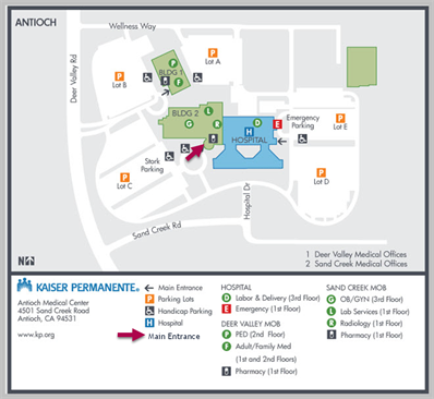 Article | My Doctor Online